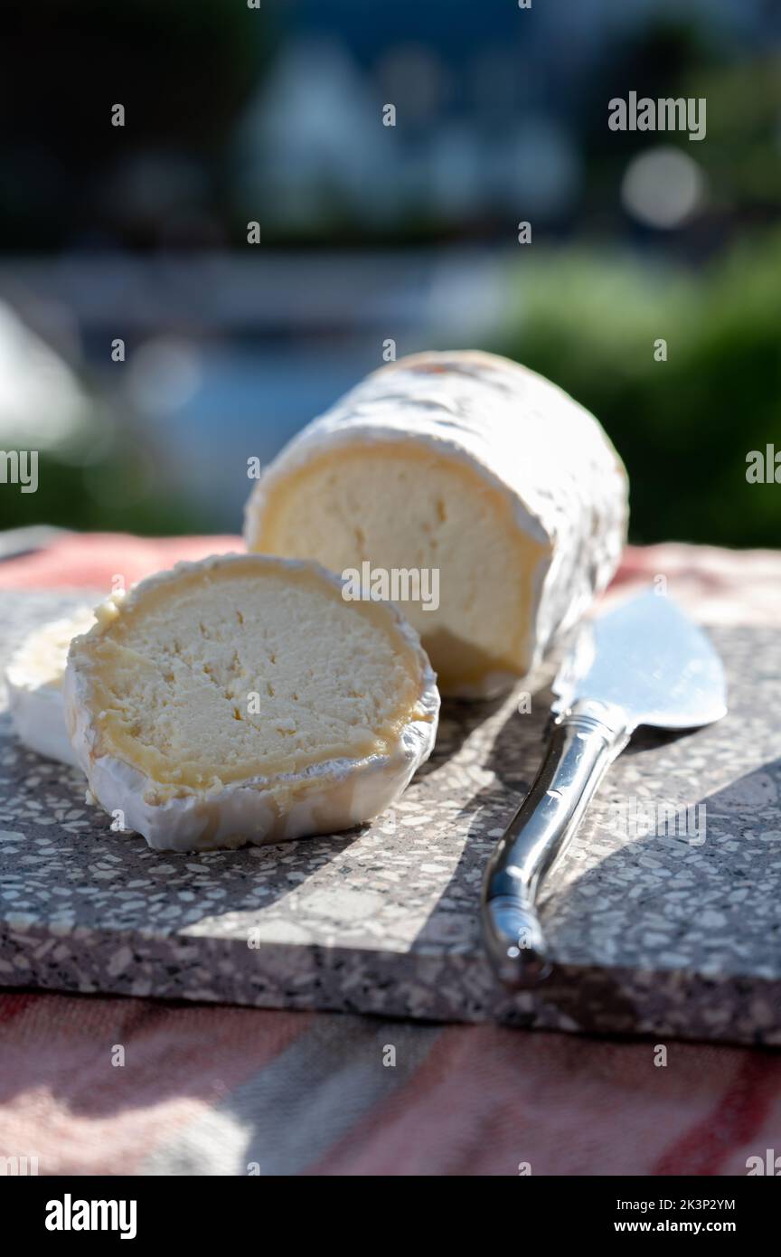 French cheeses, cylindrical neufchatel cow cheese with mold close up ...