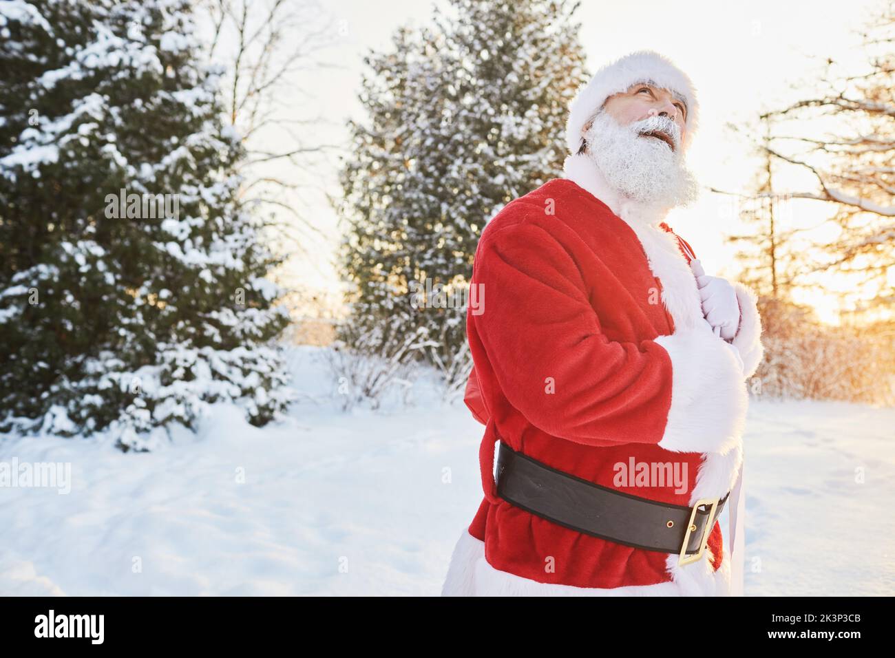 Waist up portrait of traditional Santa Claus carrying sack with ...