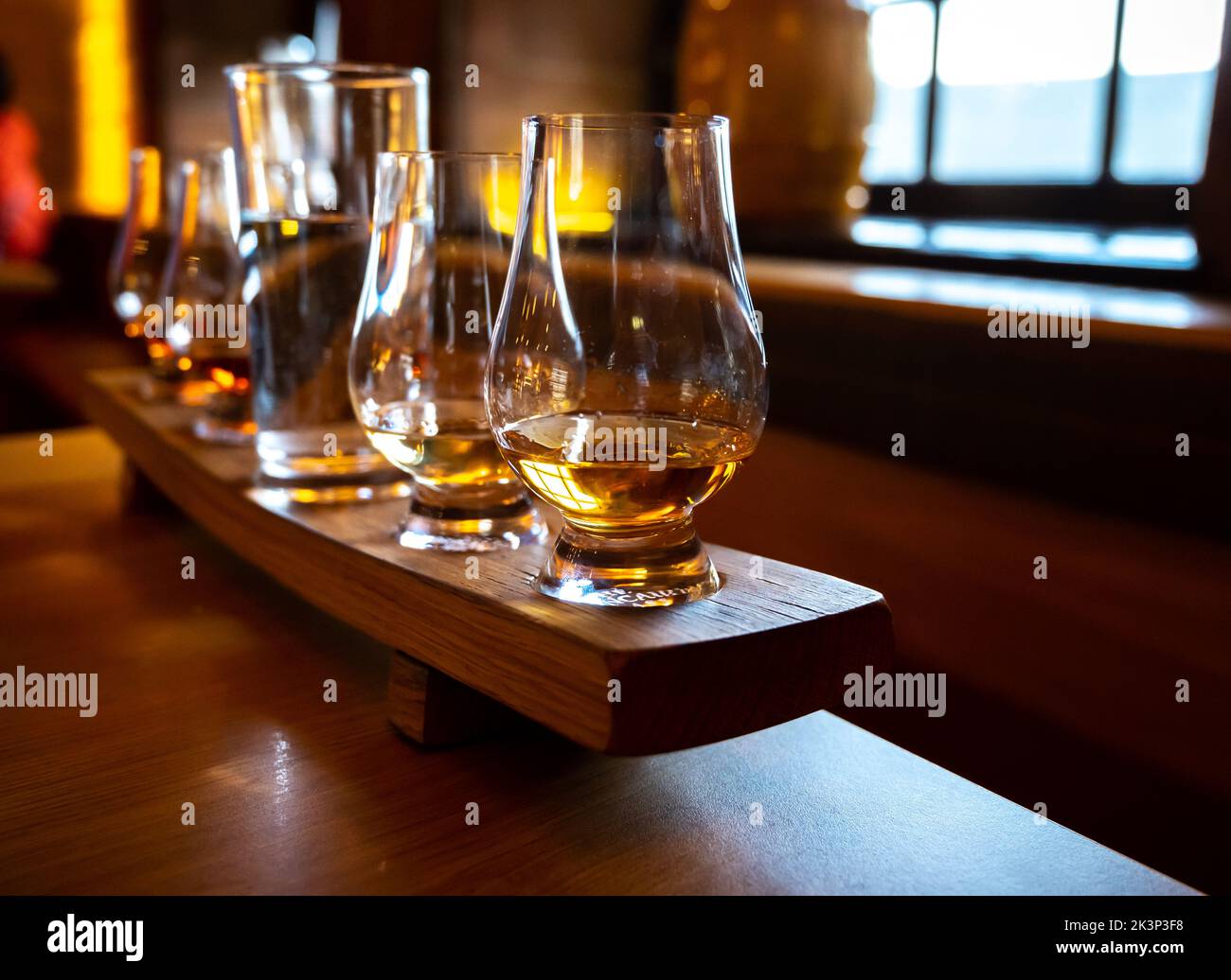 Flight of single malt scotch whisky in glasses served in bar in ...