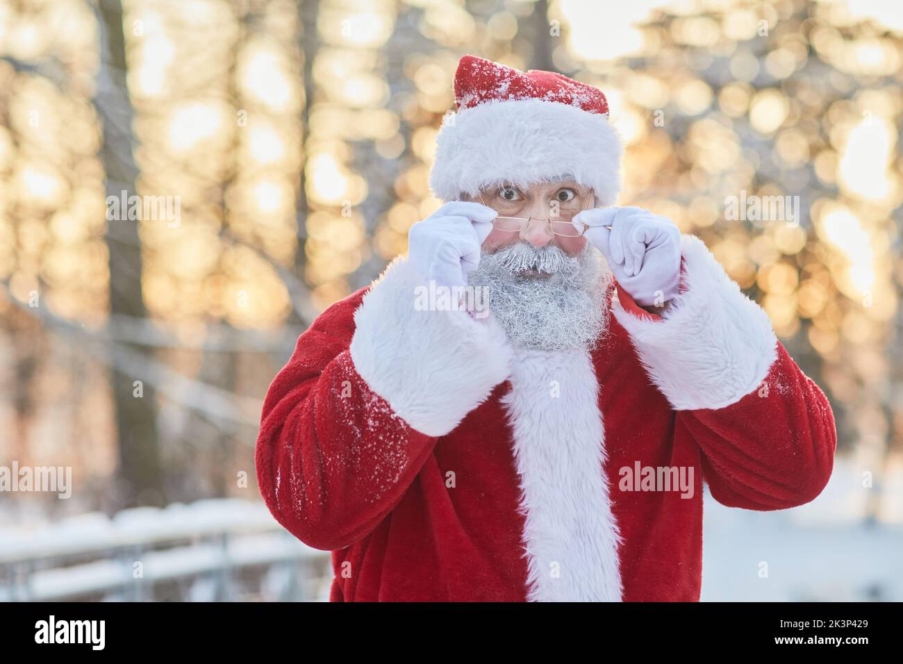 Waist up portrait of traditional Santa Claus looking at camera over ...