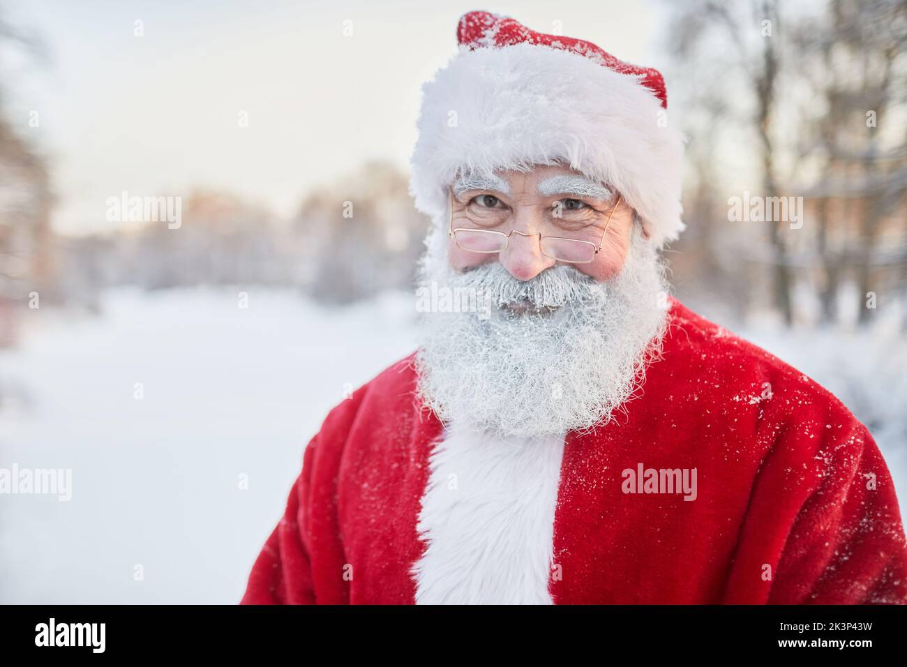 Front view portrait of traditional Santa Claus wearing eyeglasses and ...