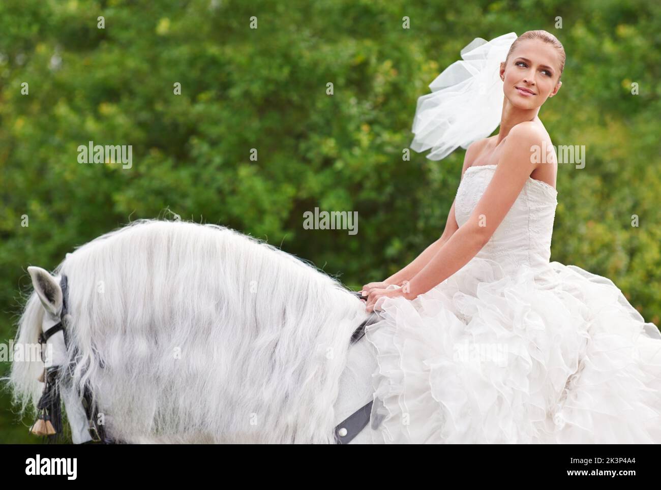 Riding to meet her white knight on the special day. A gorgeous young ...