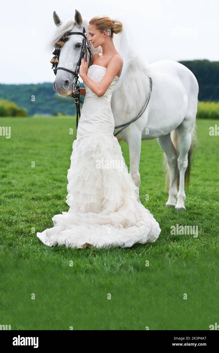 Giving her stallion the attention it deserves. A stunning young bride ...