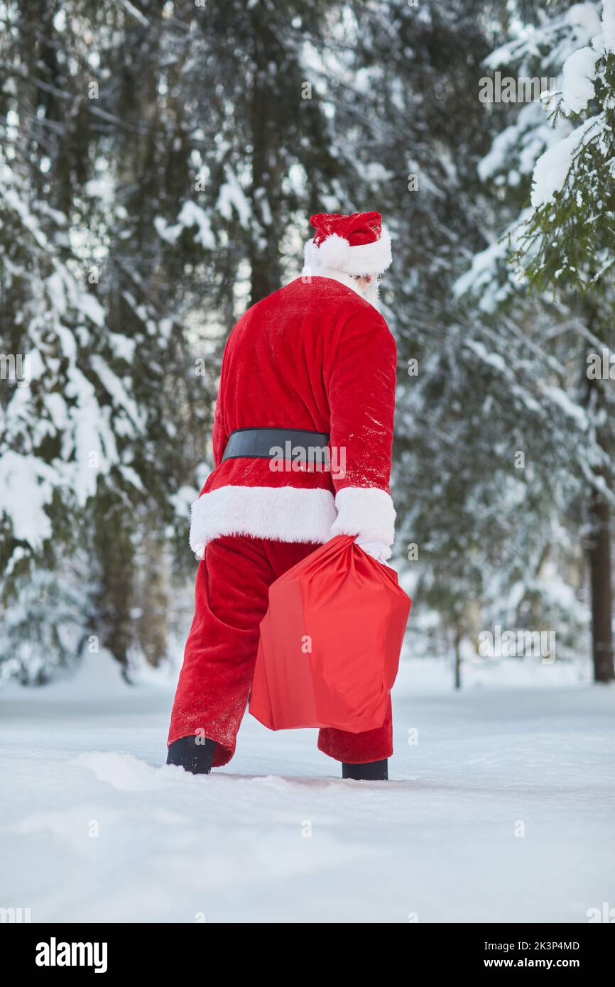 Vertical back view of traditional Santa Claus carrying sack with ...