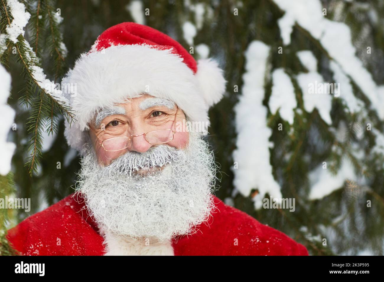 Portrait of traditional Santa Claus looking at camera and smiling in ...