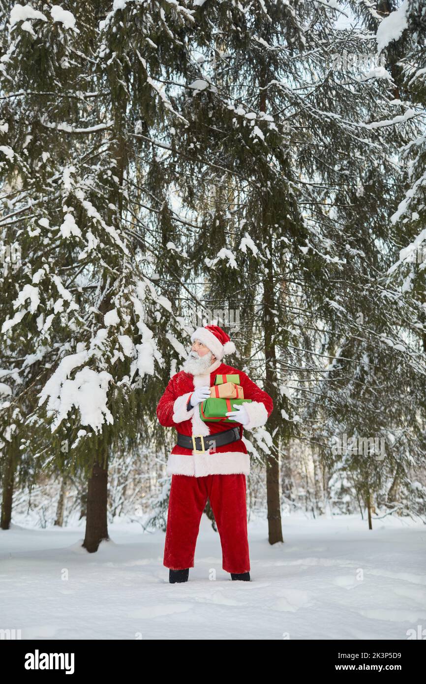 Vertical full length portrait of traditional Santa Claus holding ...