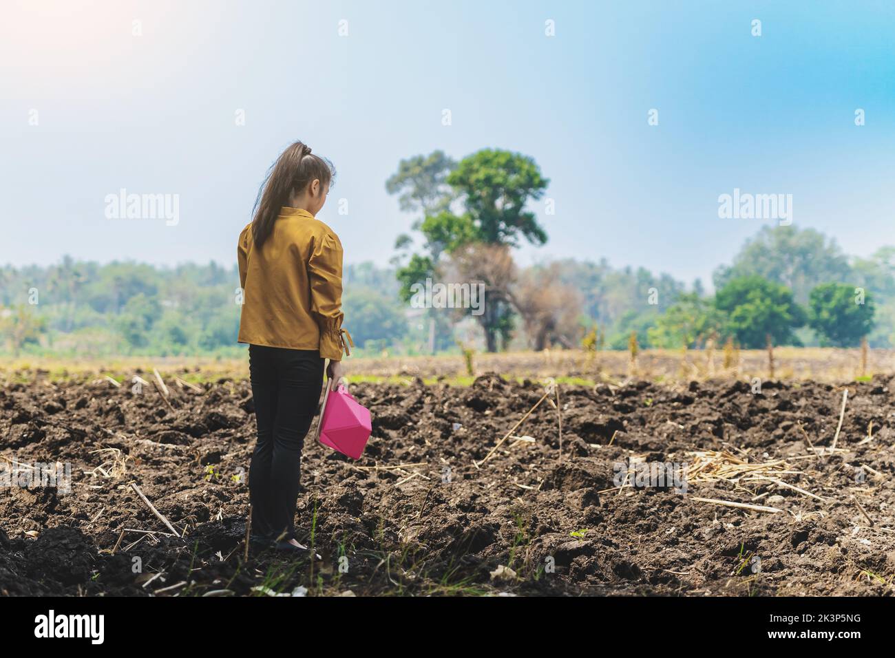 Back view of Asian young woman farmer stand alone with tablet to look ...