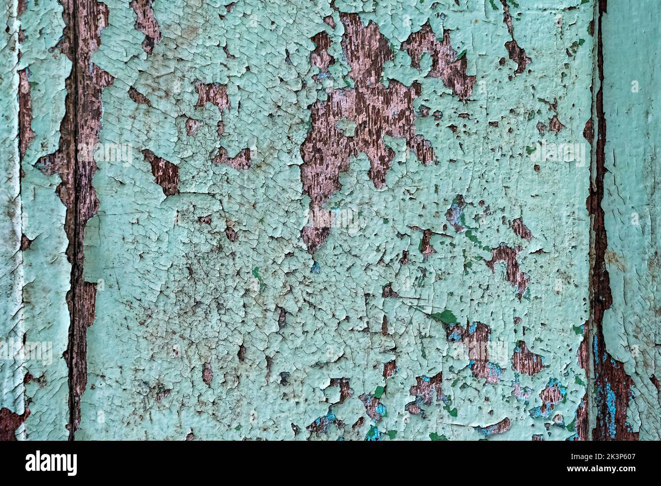 Colorful craquelure of the delaminated paint on wooden door background ...