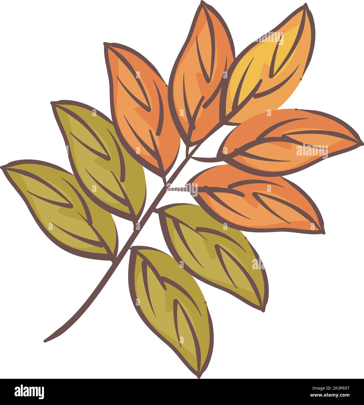 dry leaves design Stock Vector Image & Art - Alamy