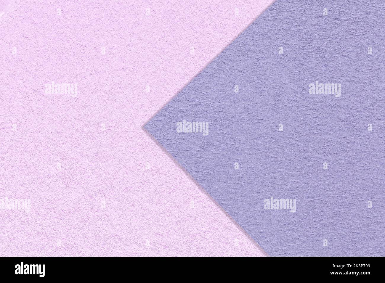 Texture of light purple and lilac paper background, half two colors ...