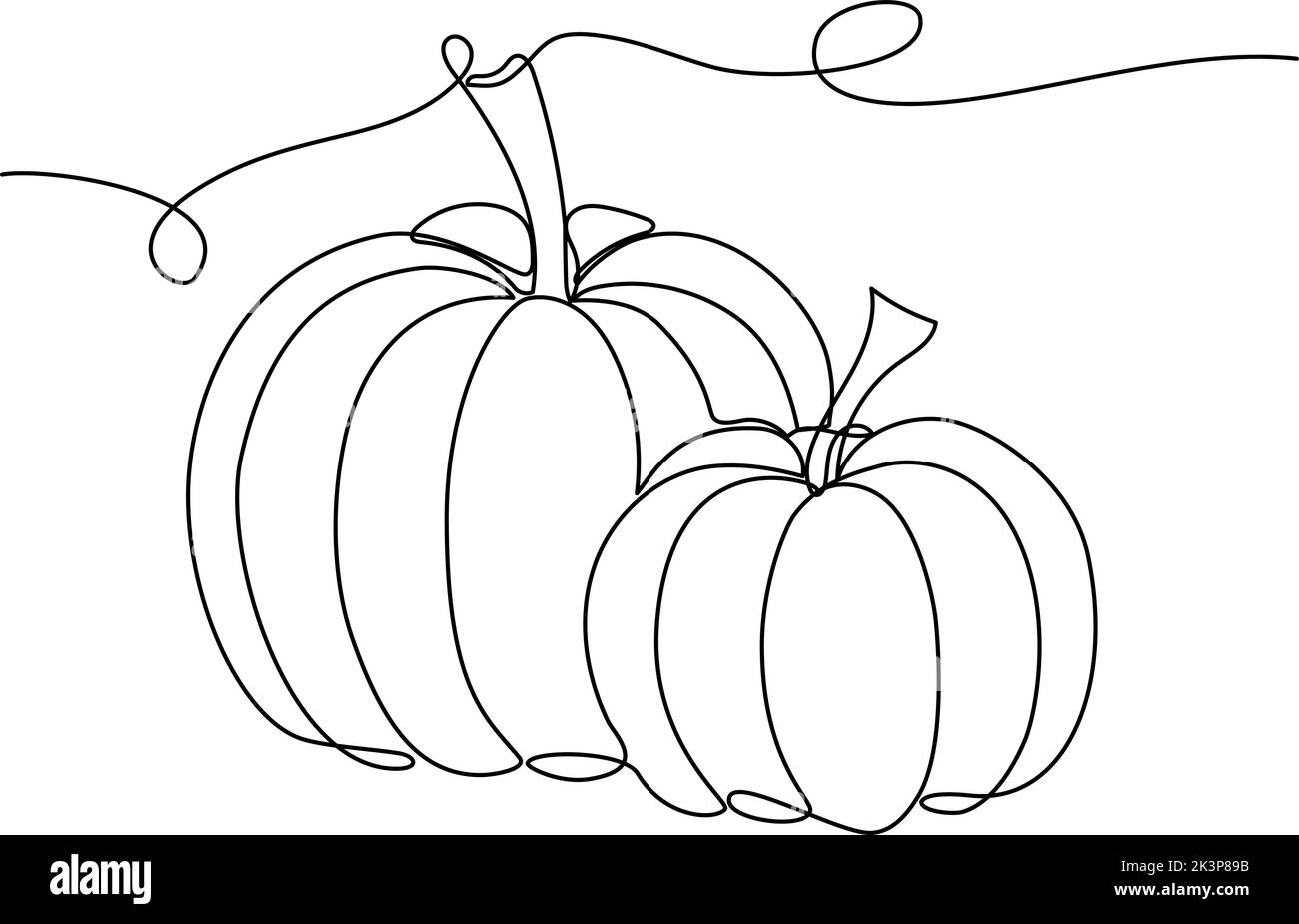 Trendy contour pumpkins continuous line drawing Stock Vector Image ...
