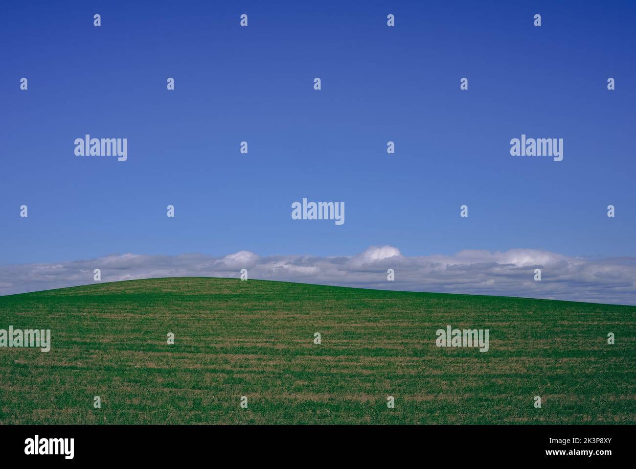 Green fields of Toten, Norway, in spring Stock Photo - Alamy