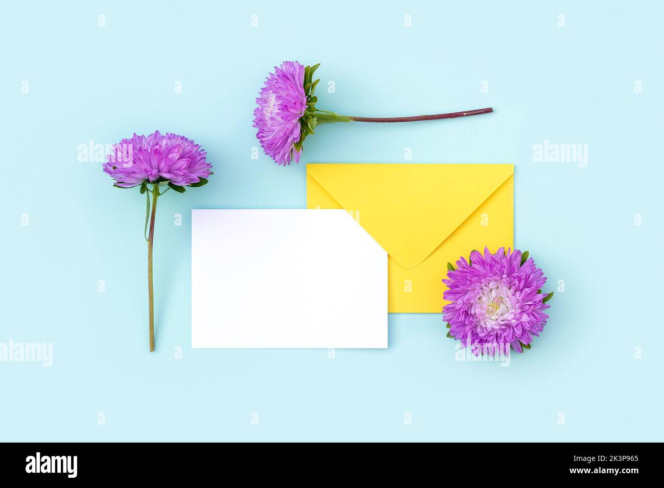 White blank card, yellow envelope and purple flower on blue background ...