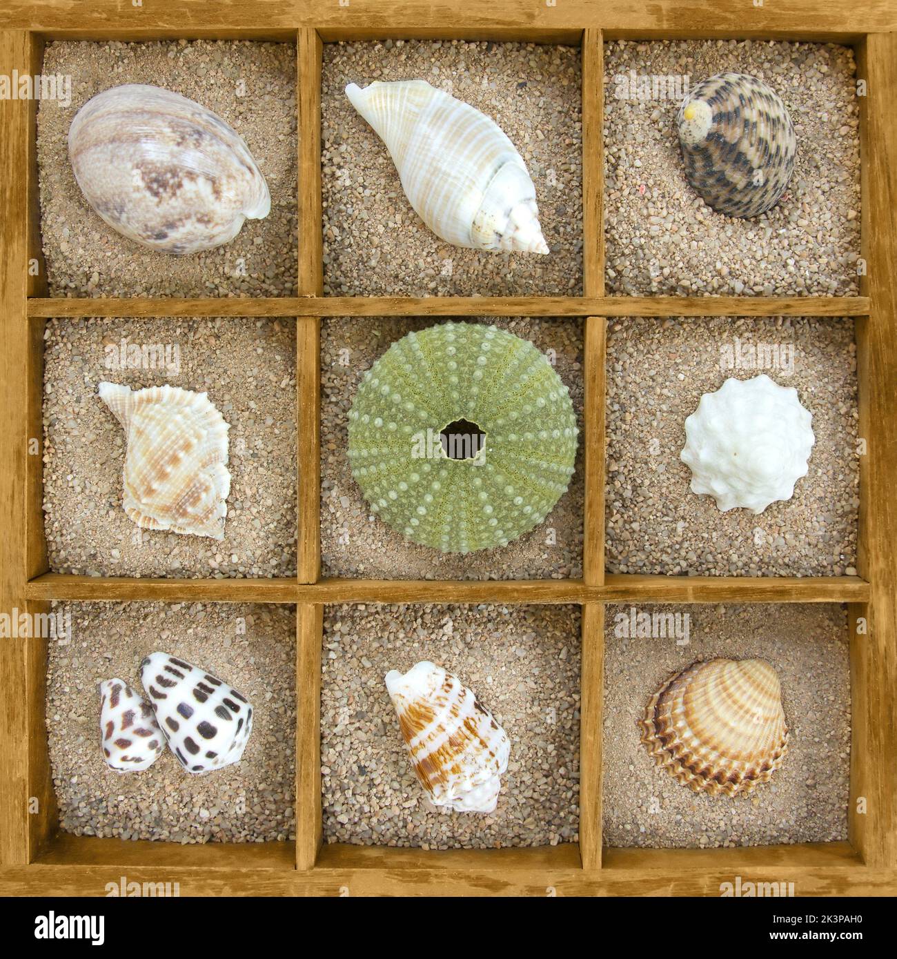 Treasure chest box seashore hi-res stock photography and images - Alamy