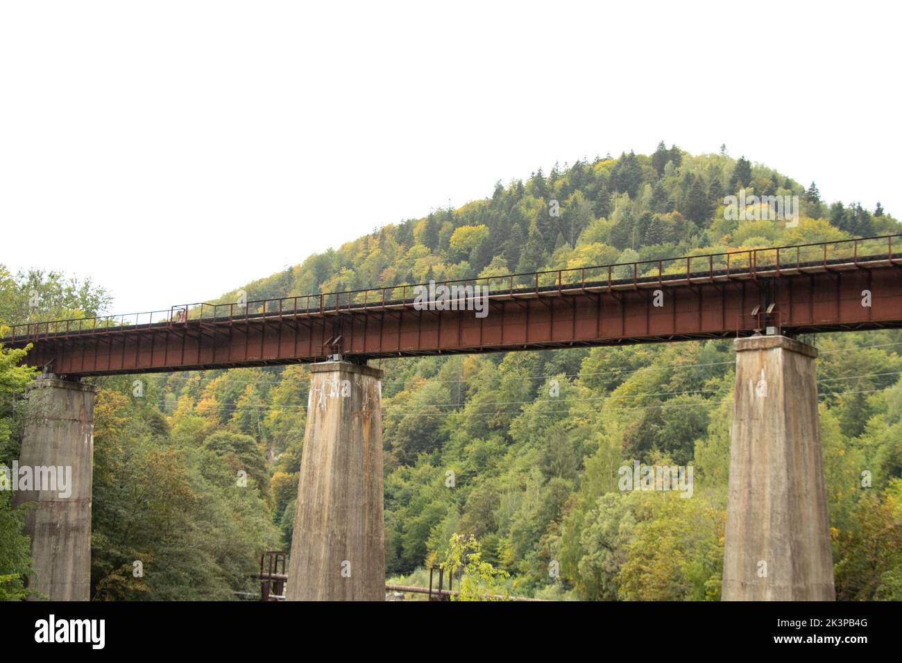 Railway bridge over a mountain river in the Carpathians in Ukraine, an ...