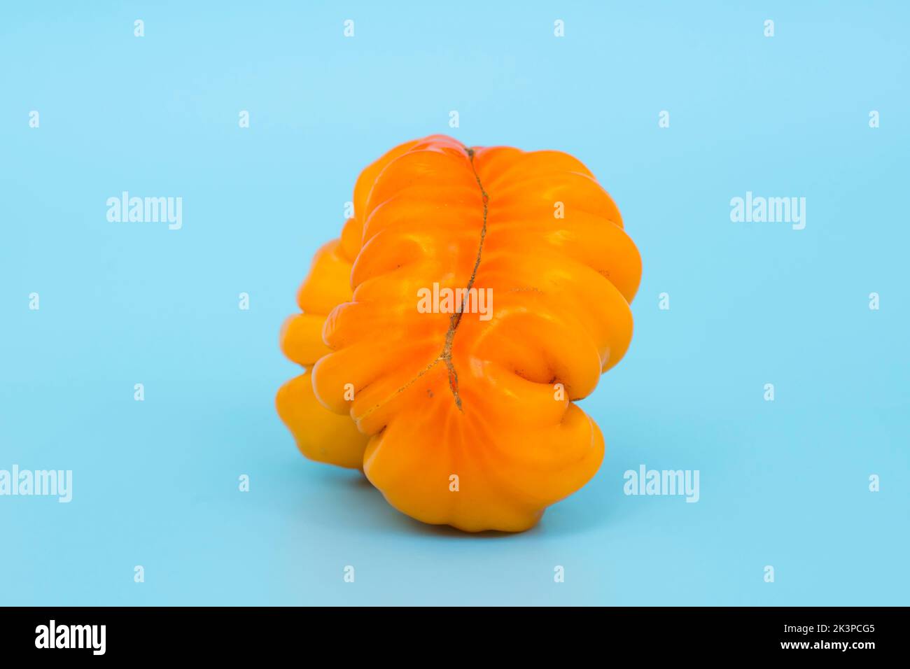 Ugly vegetables concept. Tomatoes of various unusual shapes on a blue ...