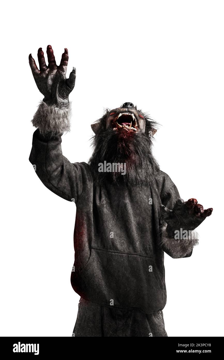 Werewolf isolated over white background Stock Photo - Alamy