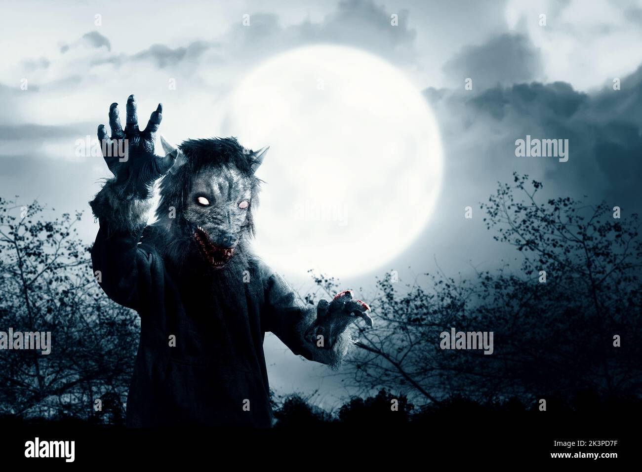 A werewolf with a full moon and night scene background. Halloween ...