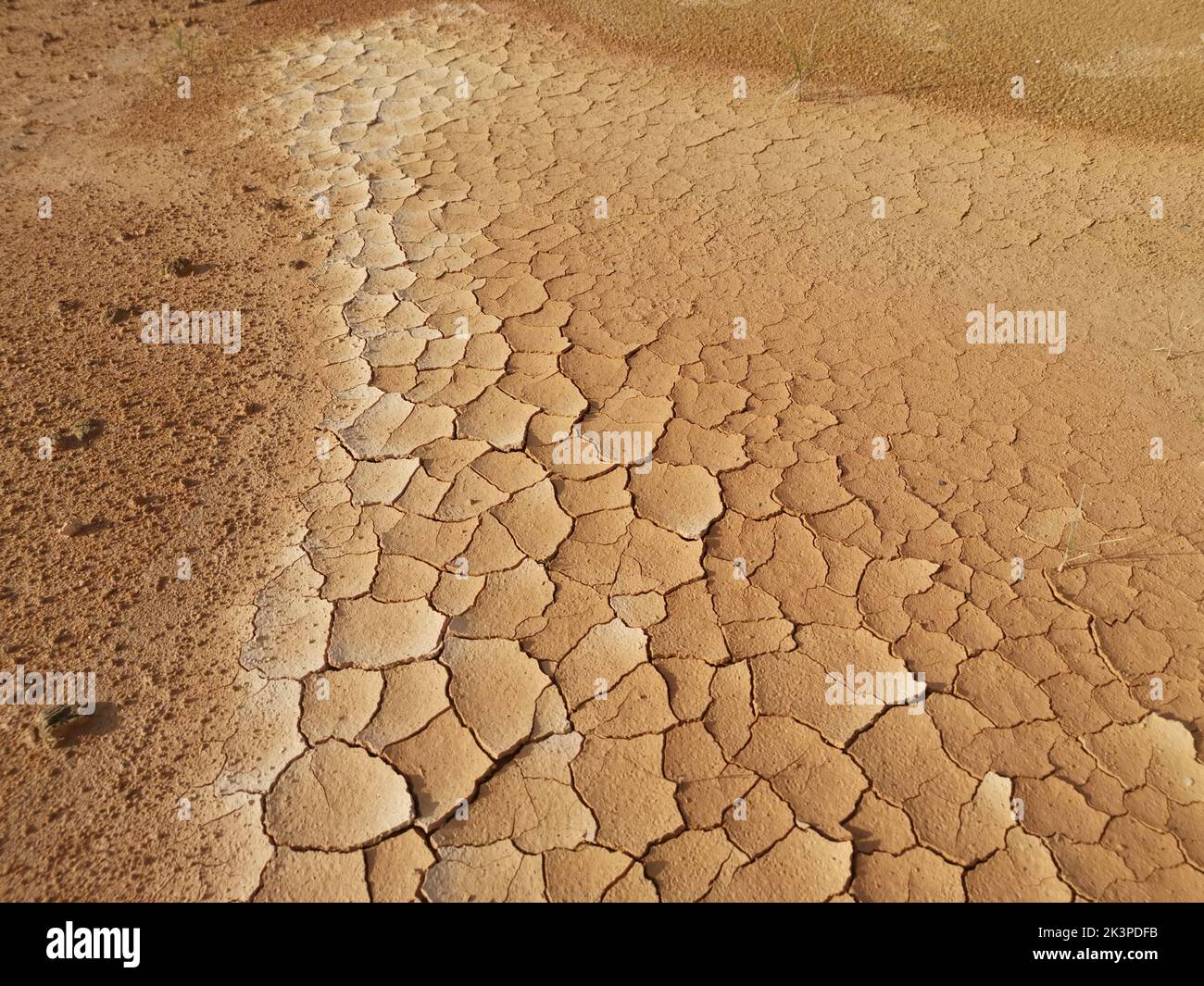 dry and barren land due to erosion after deforestation Stock Photo - Alamy