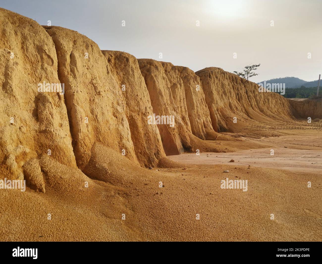 dry and barren land due to erosion after deforestation Stock Photo - Alamy