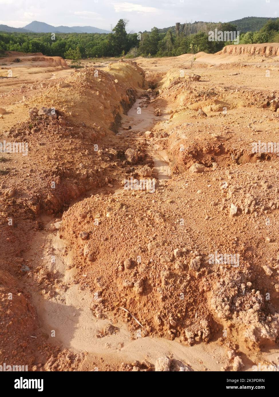 dry and barren land due to erosion after deforestation Stock Photo - Alamy