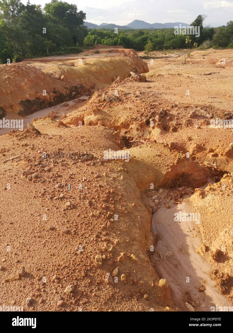 dry and barren land due to erosion after deforestation Stock Photo - Alamy