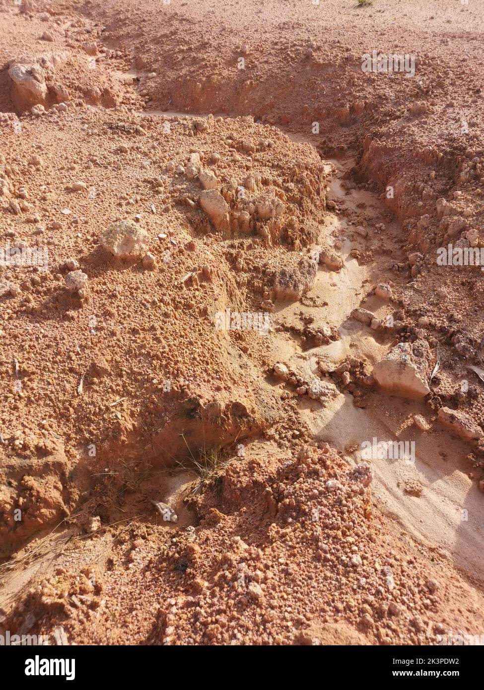 dry and barren land due to erosion after deforestation Stock Photo - Alamy