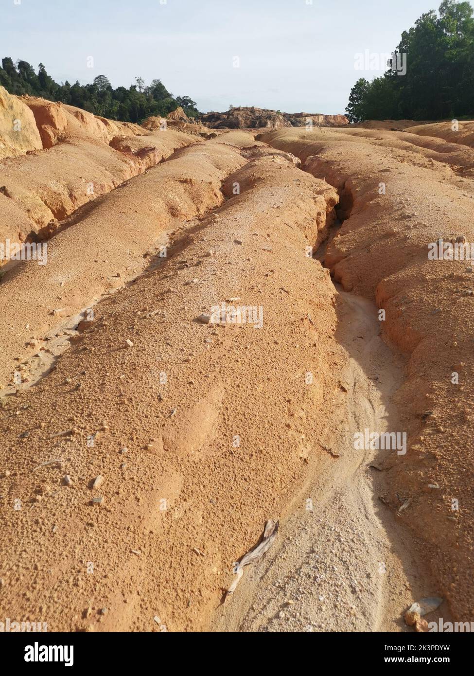 dry and barren land due to erosion after deforestation Stock Photo - Alamy