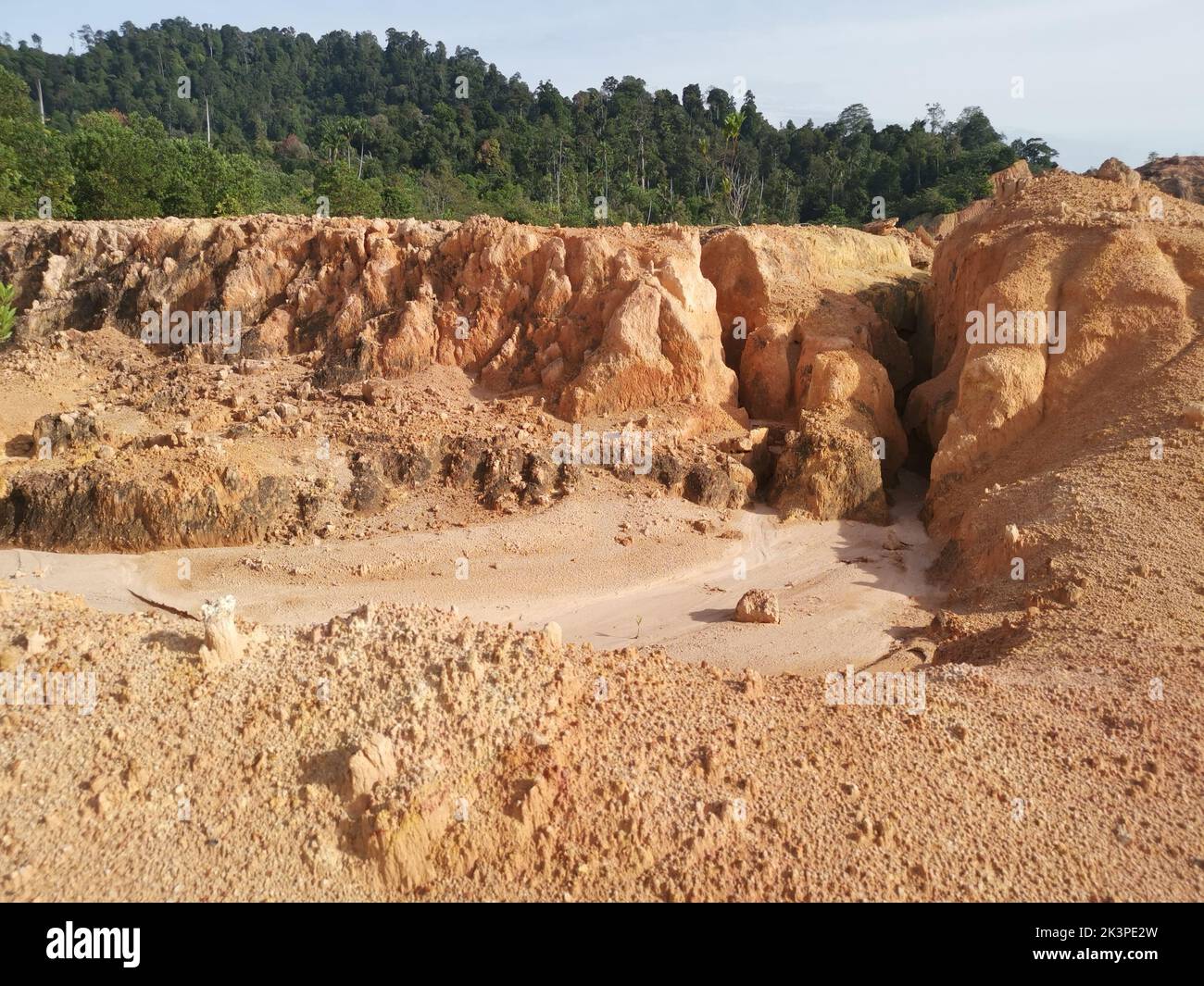 dry and barren land due to erosion after deforestation Stock Photo - Alamy