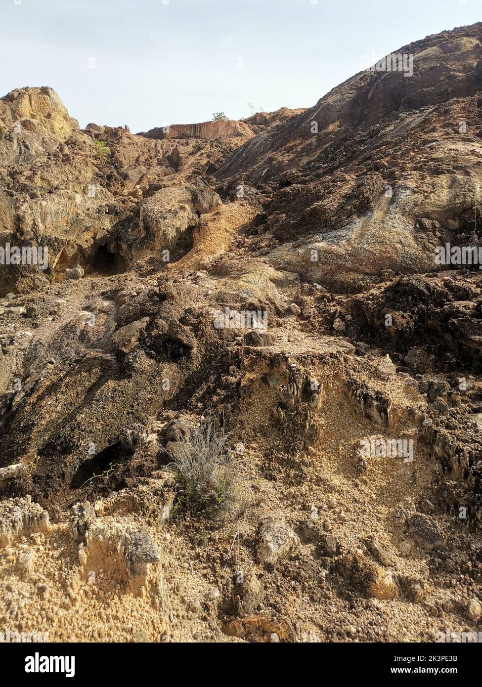 dry and barren land due to erosion after deforestation Stock Photo - Alamy