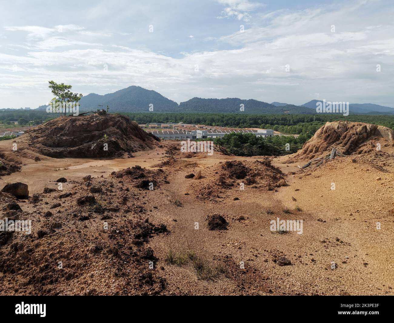 dry and barren land due to erosion after deforestation Stock Photo - Alamy