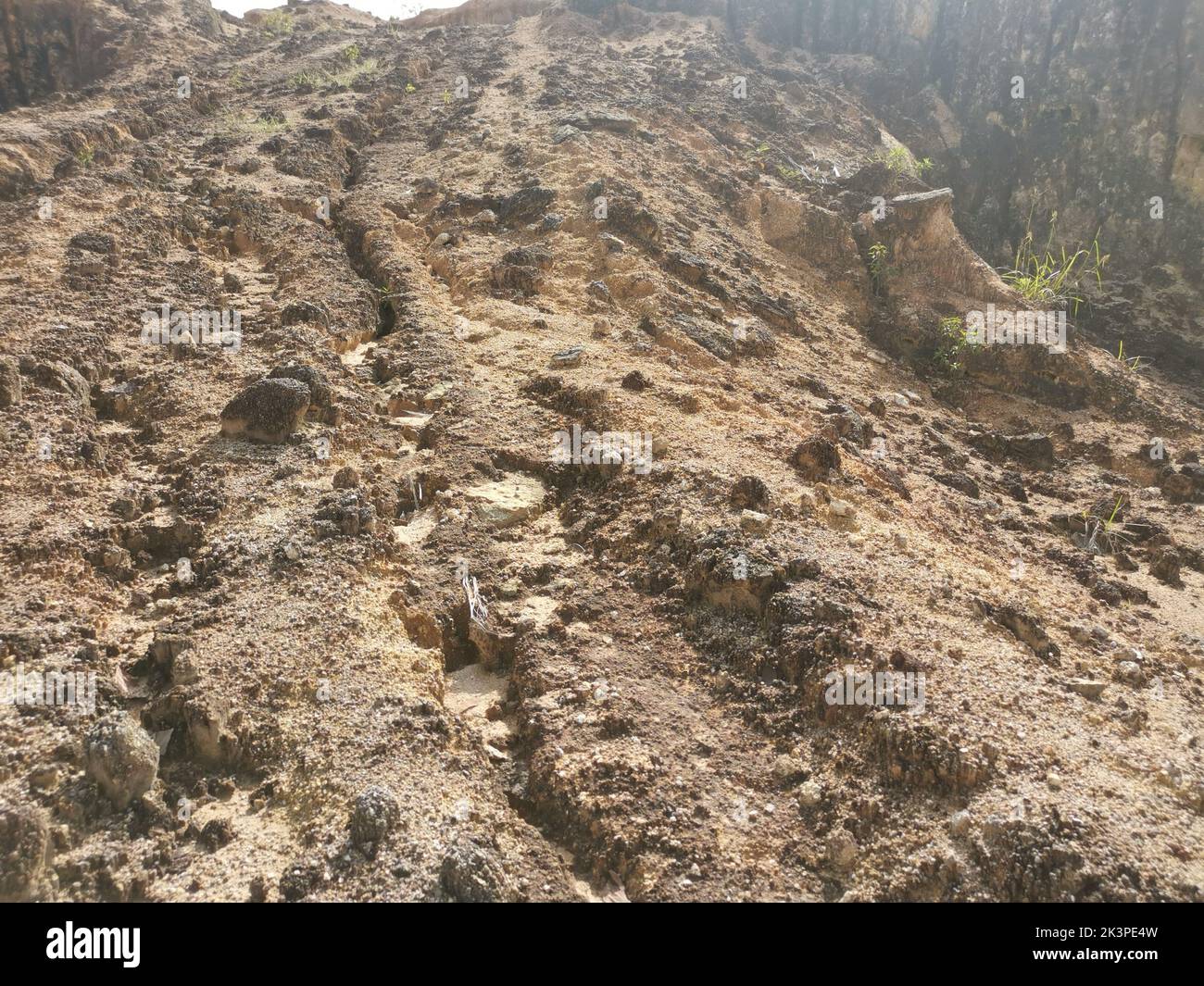 dry and barren land due to erosion after deforestation Stock Photo - Alamy