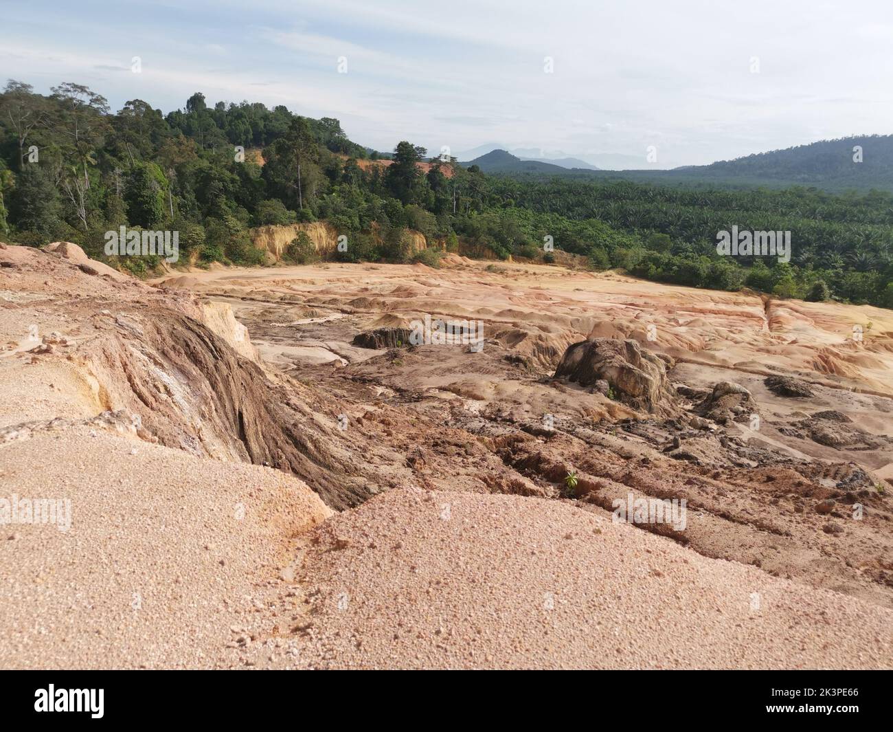 dry and barren land due to erosion after deforestation Stock Photo - Alamy