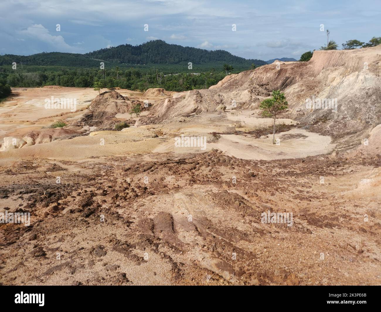 dry and barren land due to erosion after deforestation Stock Photo - Alamy