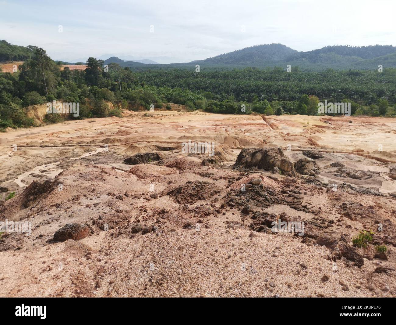 dry and barren land due to erosion after deforestation Stock Photo - Alamy