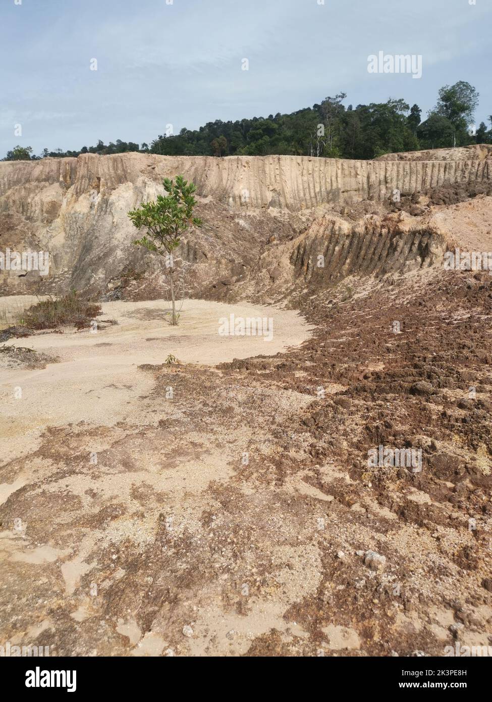 dry and barren land due to erosion after deforestation Stock Photo - Alamy