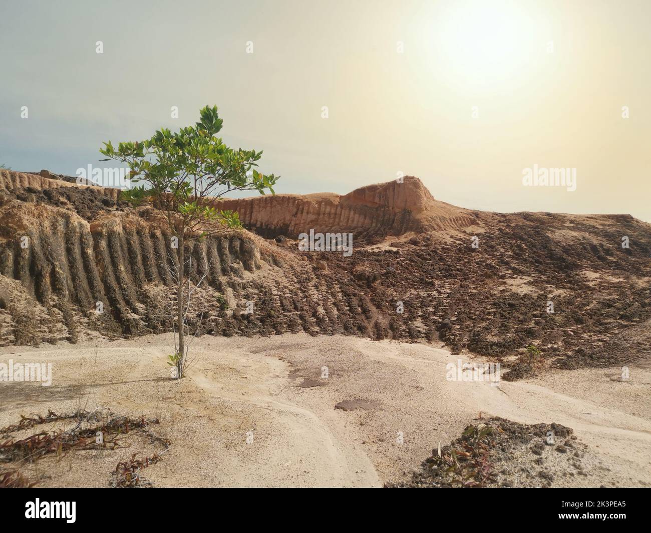 dry and barren land due to erosion after deforestation Stock Photo - Alamy