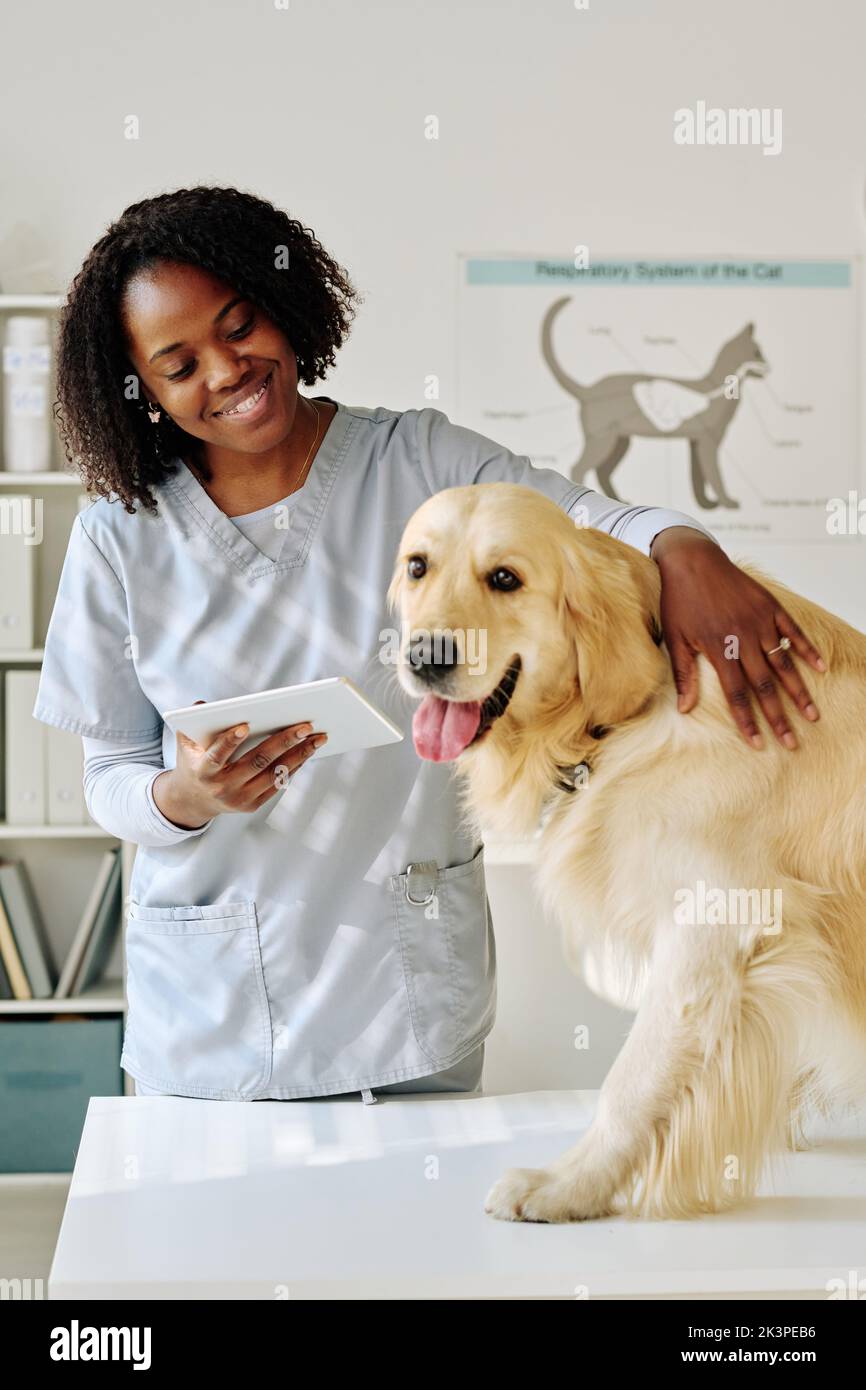 African female vet doctor in uniform using digital tablet while ...