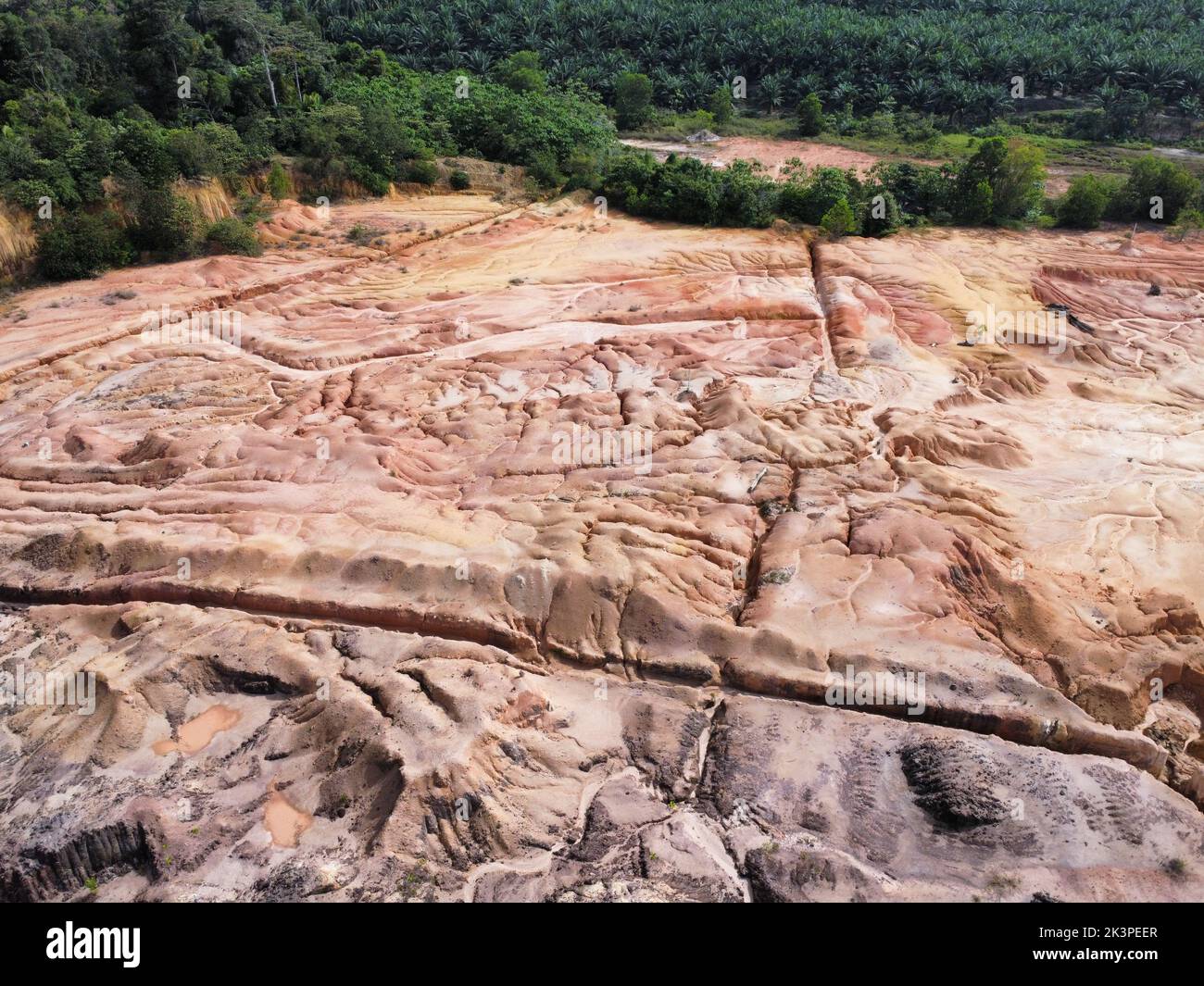 dry and barren land due to erosion after deforestation Stock Photo - Alamy