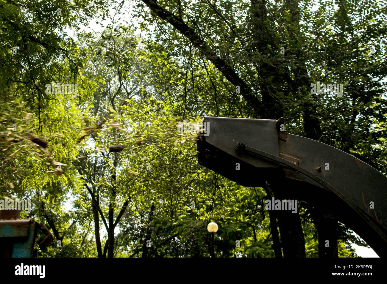 The work of a mobile shredder of dry branches and trees in a city park ...