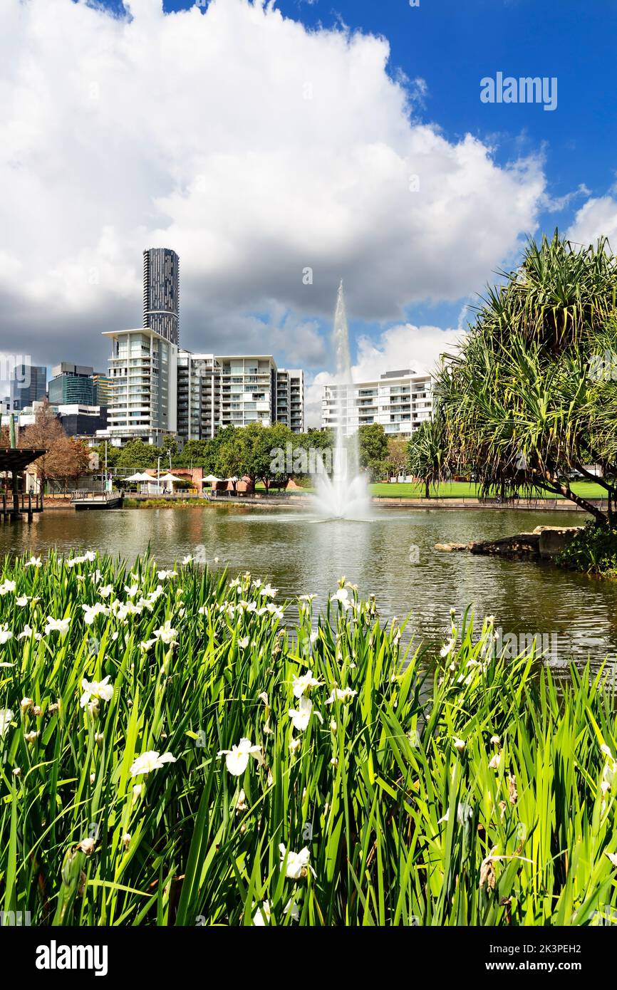 Parks in brisbane hi-res stock photography and images - Alamy