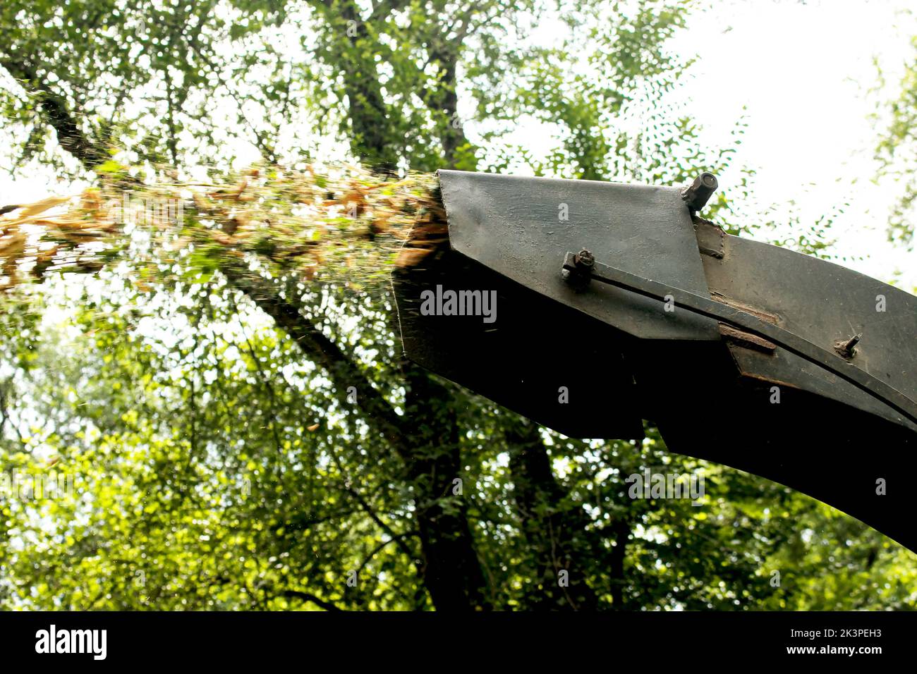 The work of a mobile shredder of dry branches and trees in a city park ...