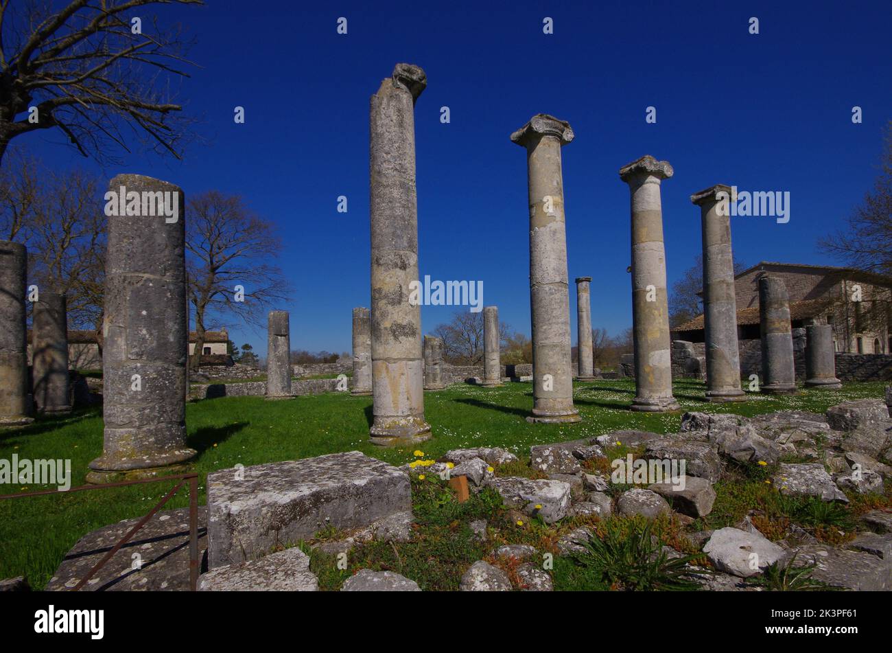 Archaeological site of Altilia: Remains of columns indicating where the ...