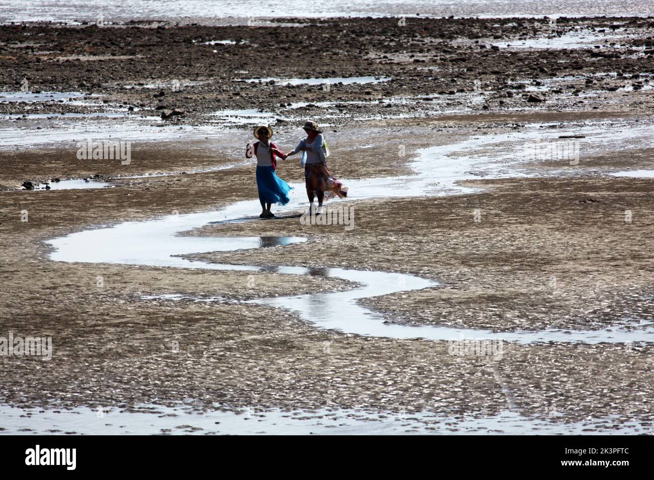 NINGDE, CHINA - SEPTEMBER 24, 2022 - People walk on a beach exposed by ...