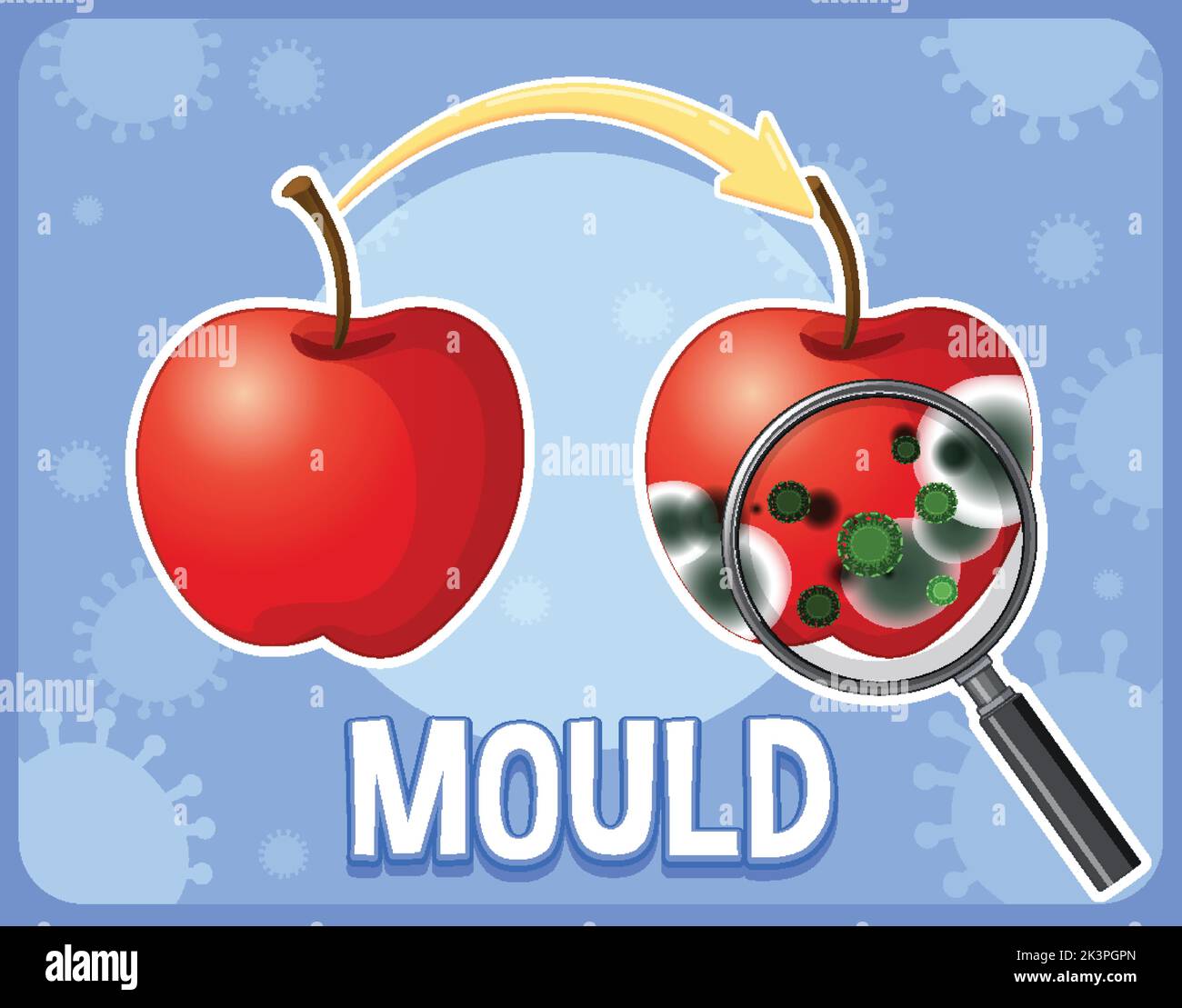Inedible decomposed apple with mould illustration Stock Vector Image ...