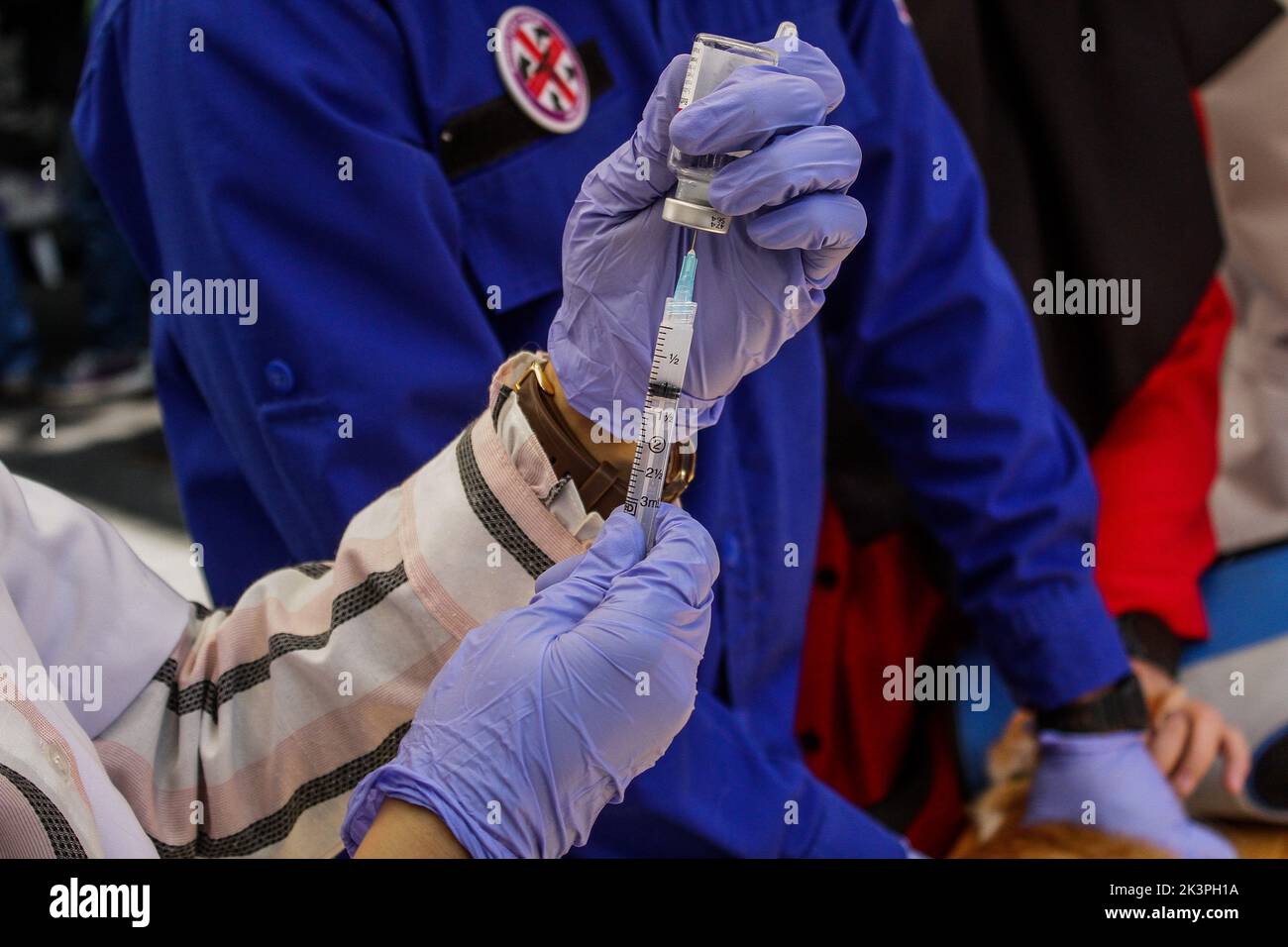 Bandung, West Java, Indonesia. 28th Sep, 2022. A doctor reload rabies ...