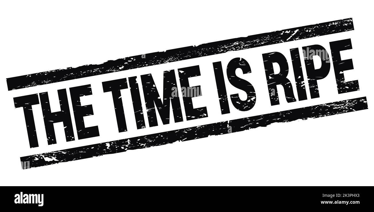 THE TIME IS RIPE text written on black rectangle stamp sign Stock Photo ...