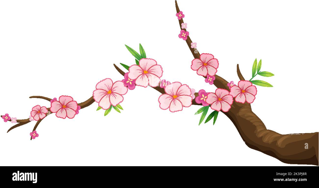 Cherry blossom branch isolated illustration Stock Vector Image & Art ...