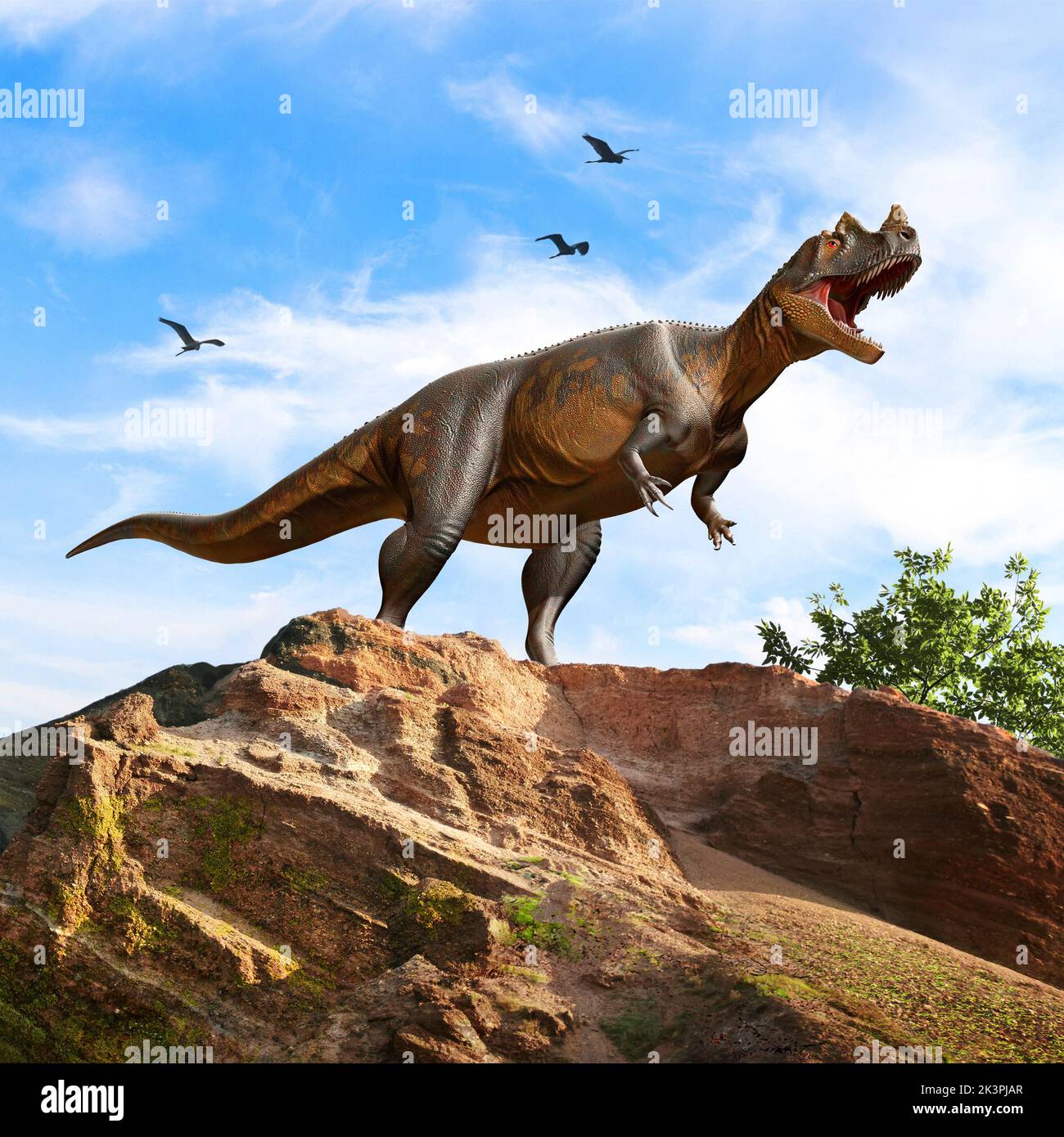 Oaleoart hi-res stock photography and images - Alamy