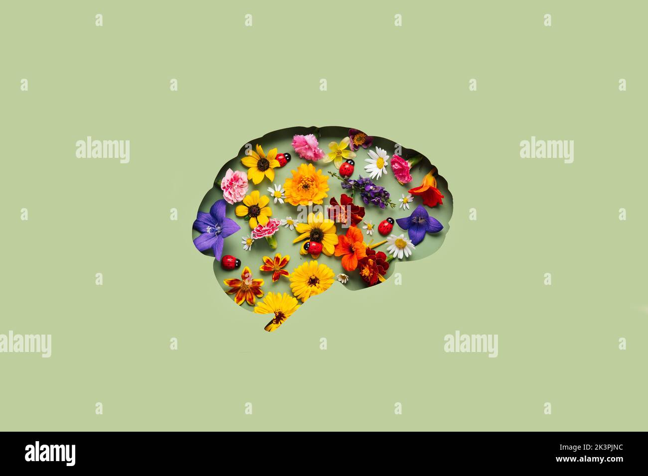 Paper cut brain and flowers on green background. Mental health concept ...